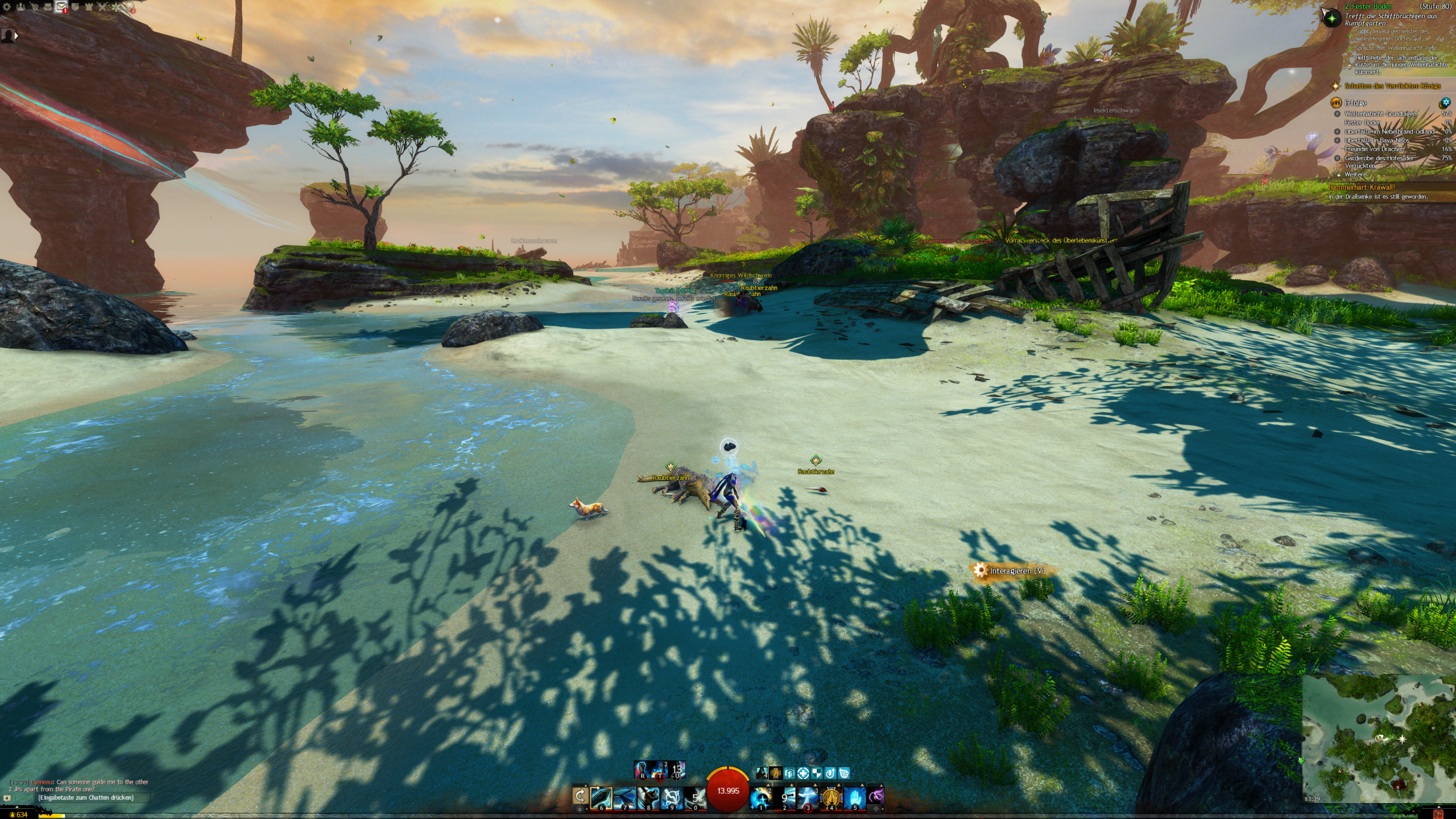 Erfolg: Wellenhabicht-Grundlagen | Wavehawk Fundamentals - Story Heroes